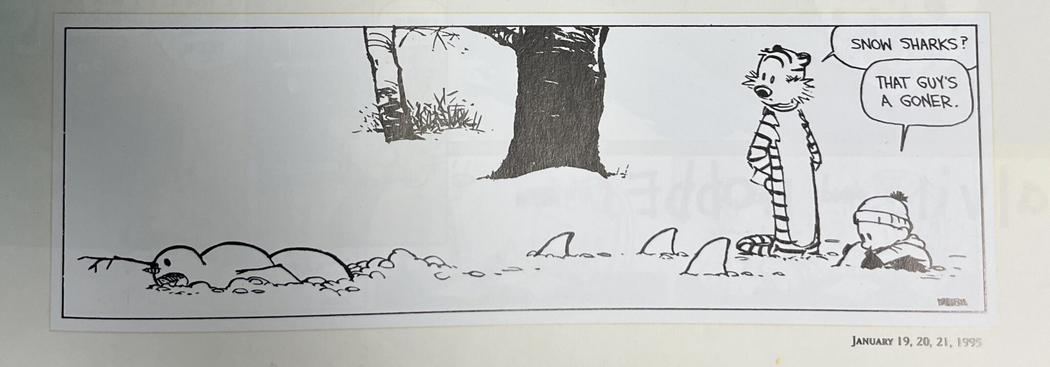 What Bill Watterson Teaches Teachers